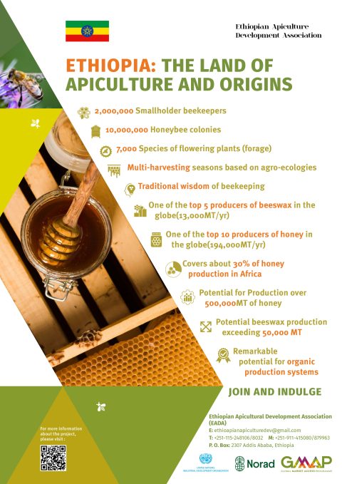 Ethiopian Apiculture Stats | Ethiopian Apiculture Development ...